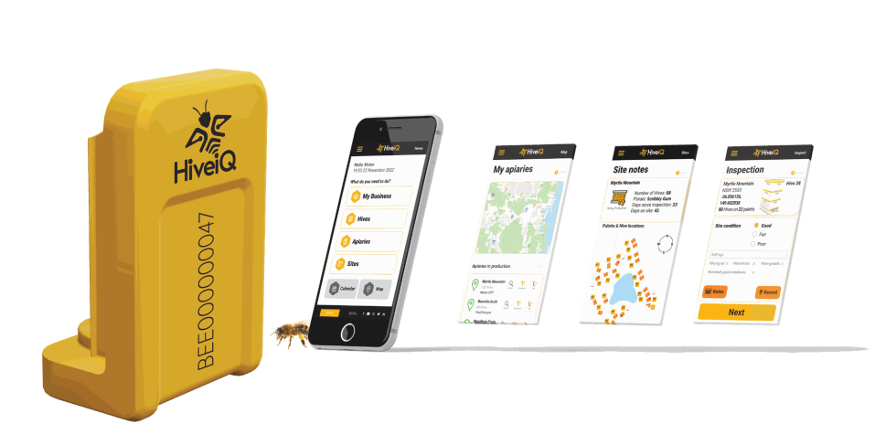 HiveiQ | Ripple Farm